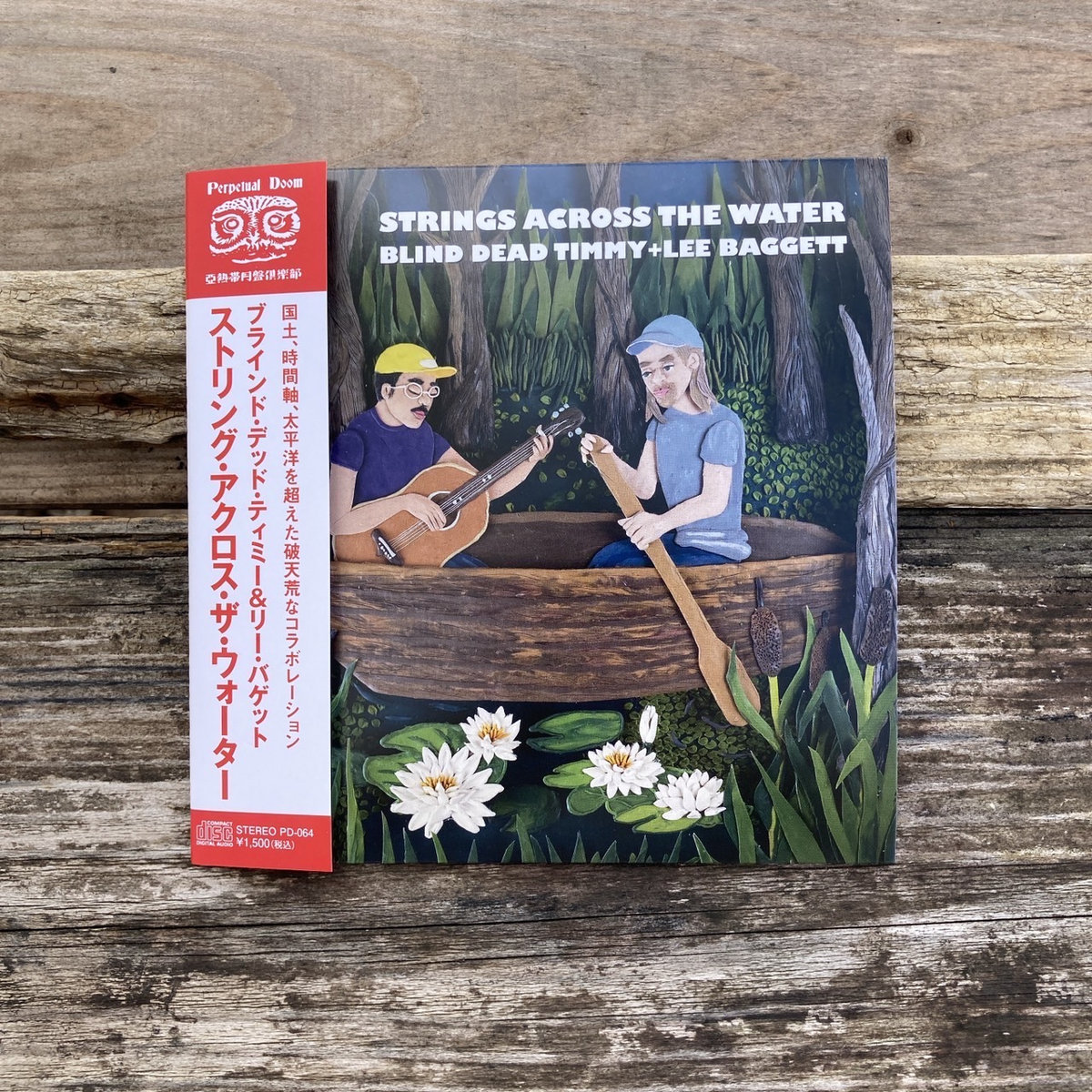 Strings Across The Water | Blind Dead Timmy + Lee Baggett | Perpetual Doom