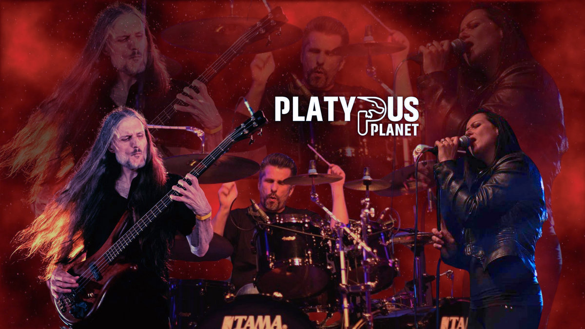 Wake Up | Platypus Planet