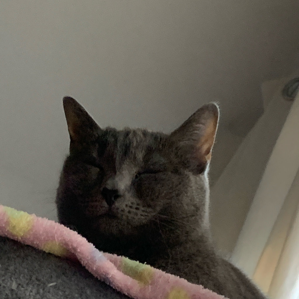 master_plague's collection | Bandcamp