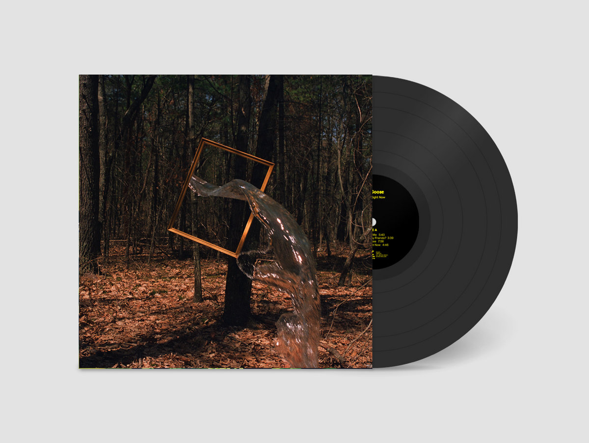 Very Still Right Now | Mon Goose