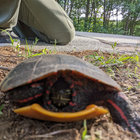 REGRET ROCK ft. Kasane Teto | MonochroMenace