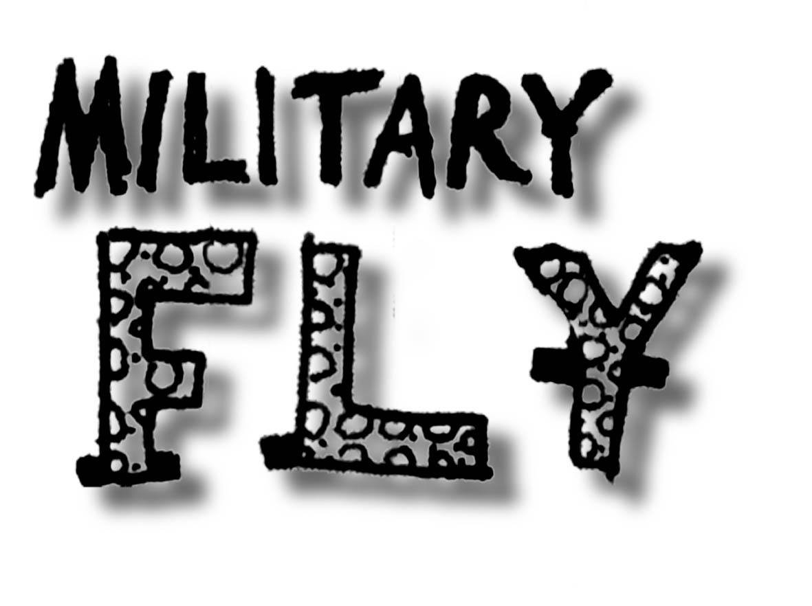 Gagarin | Military Fly
