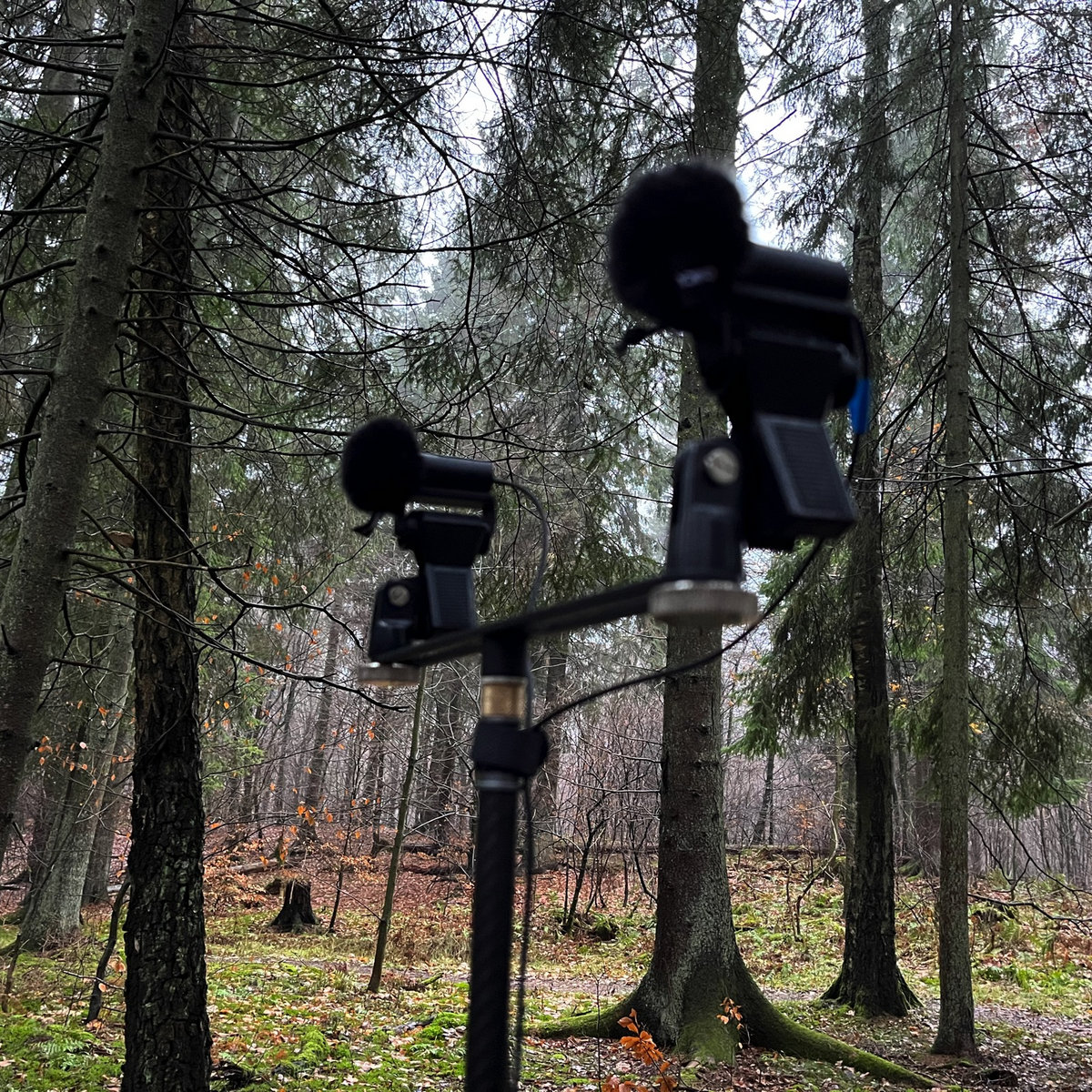 2023 - Various recordings and FX | Weird Pony Studio