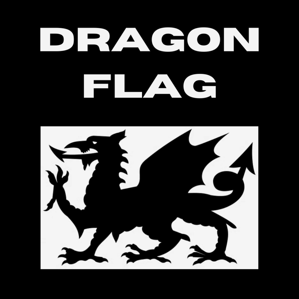 Music | Dragon Flag