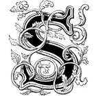 Identity Sequence | zircon