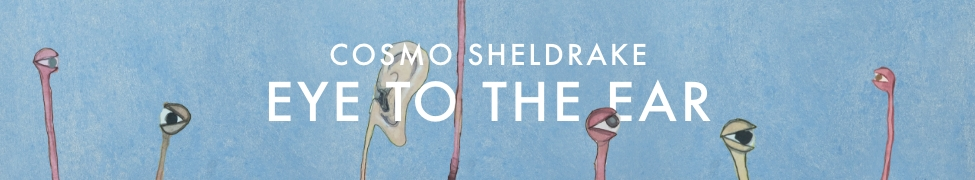 Music | Cosmo Sheldrake