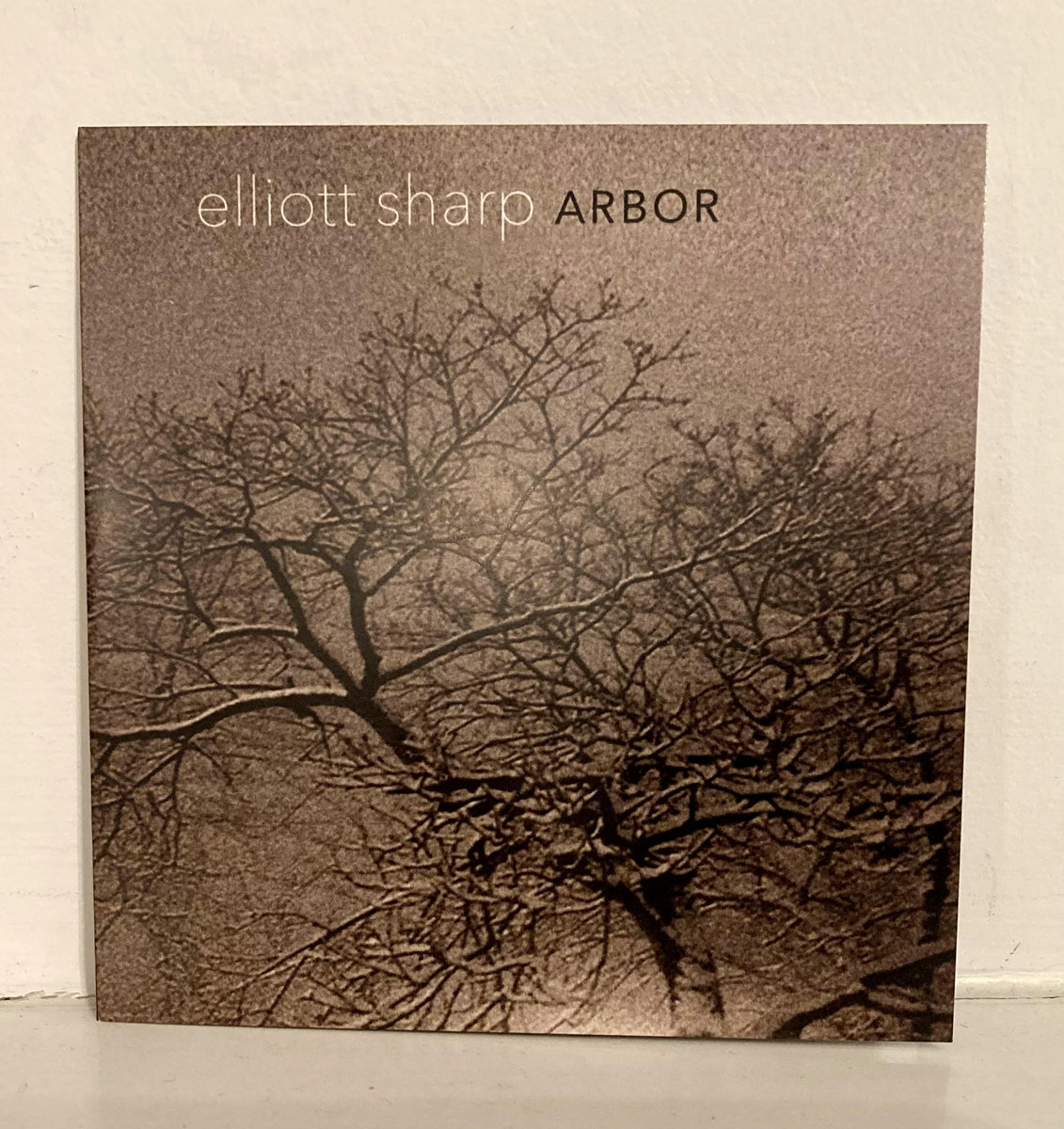 Arbor | Elliott Sharp