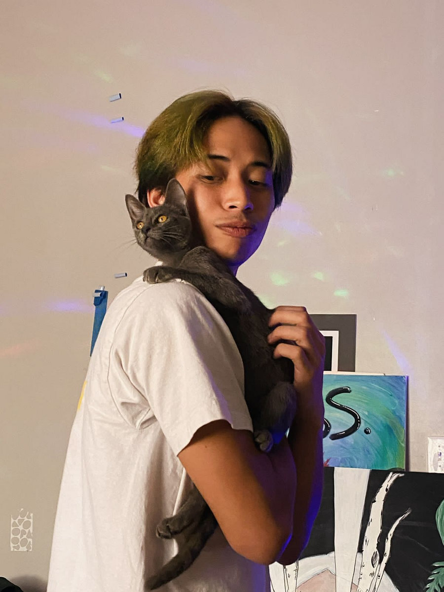 For Indy/Goodnight Sun | Dogs in Dededo