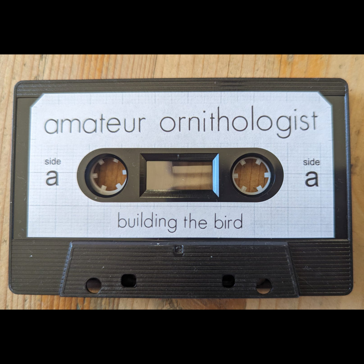 Building the Bird | Amateur Ornithologist