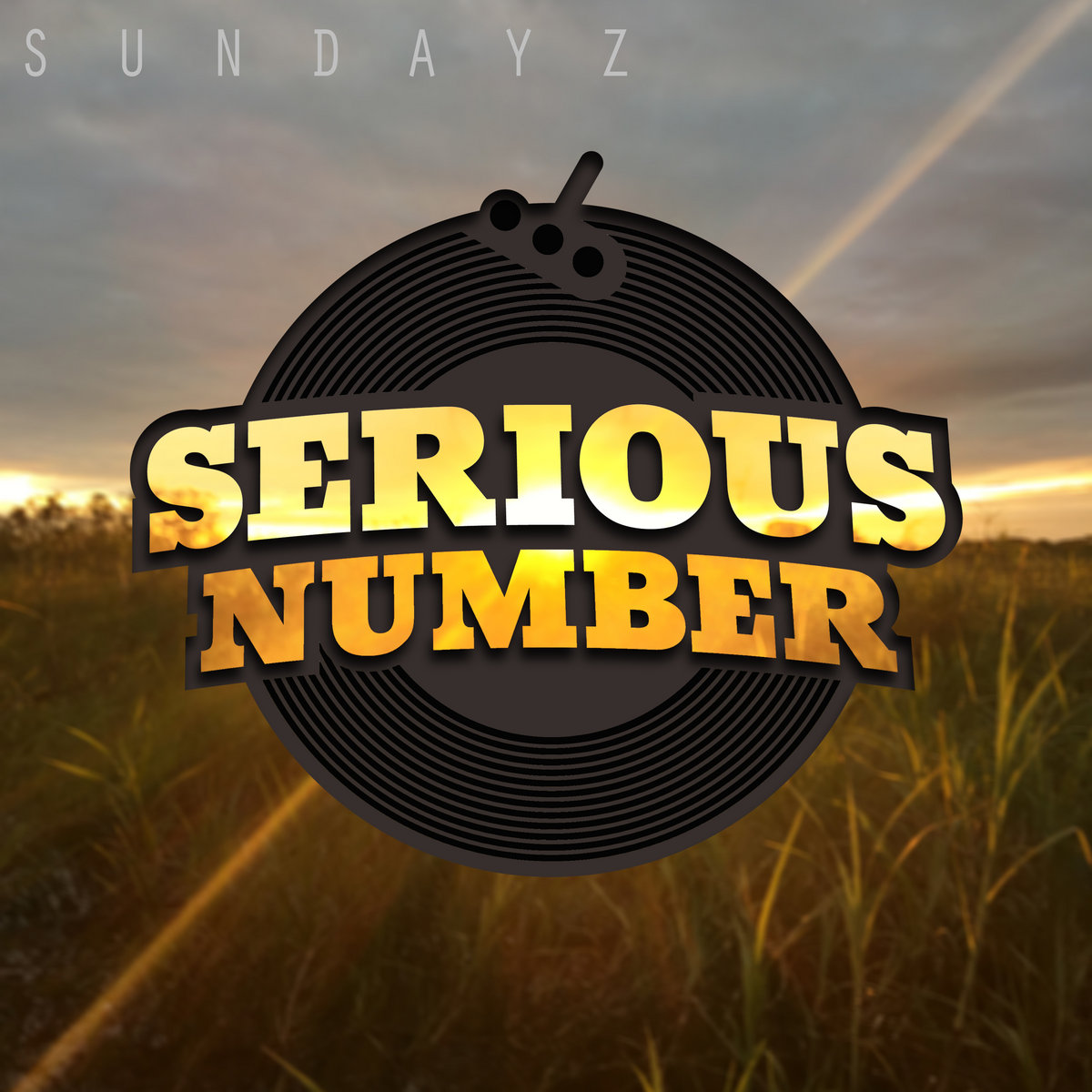 Vanilla Gorilla | Serious Number, Paege | Serious Number