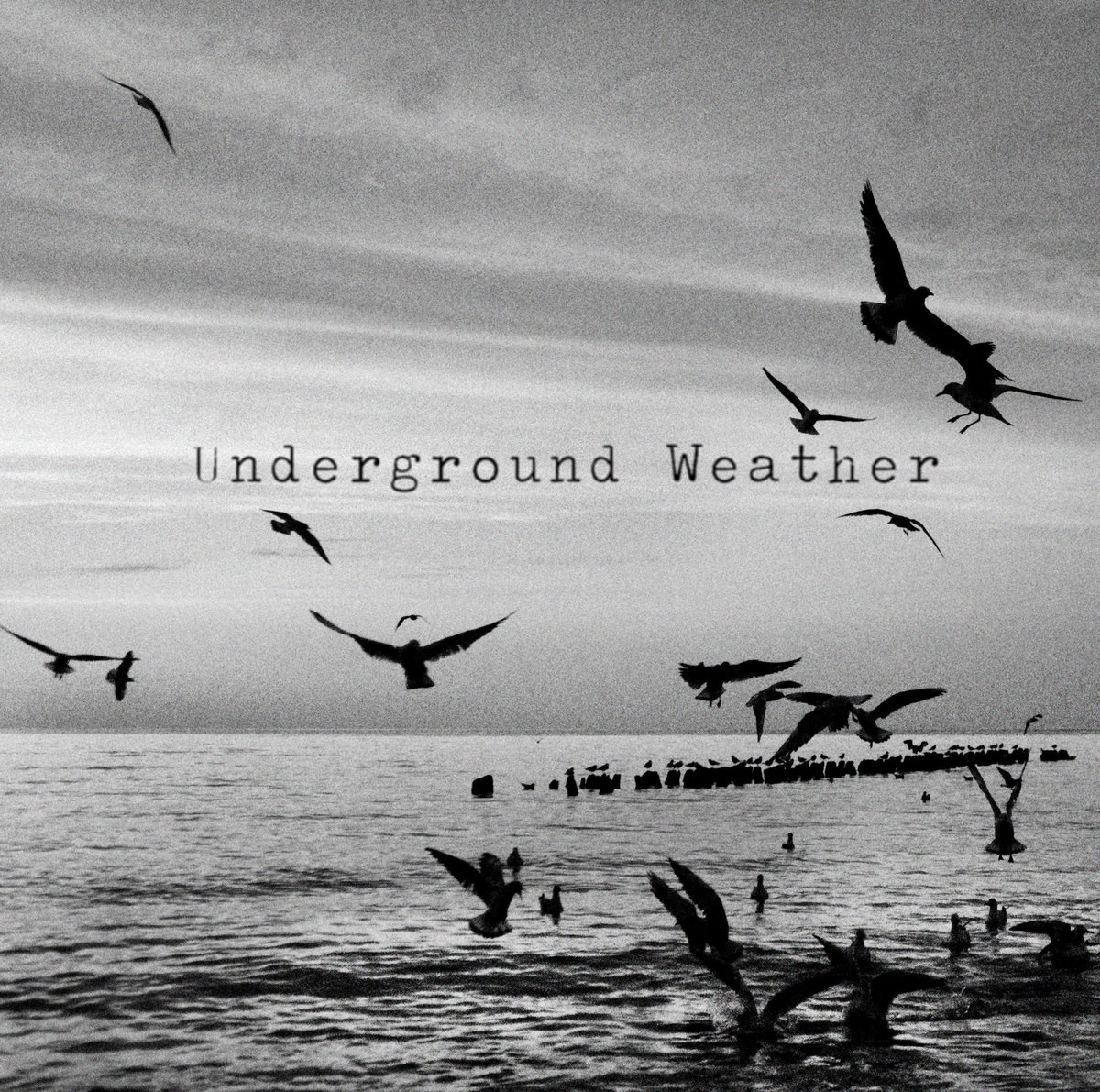 Underground Weather | Underground Weather