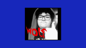 Music | Woof Da Husky/Gravity