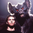 BVVVVVVV | CHALK TALK