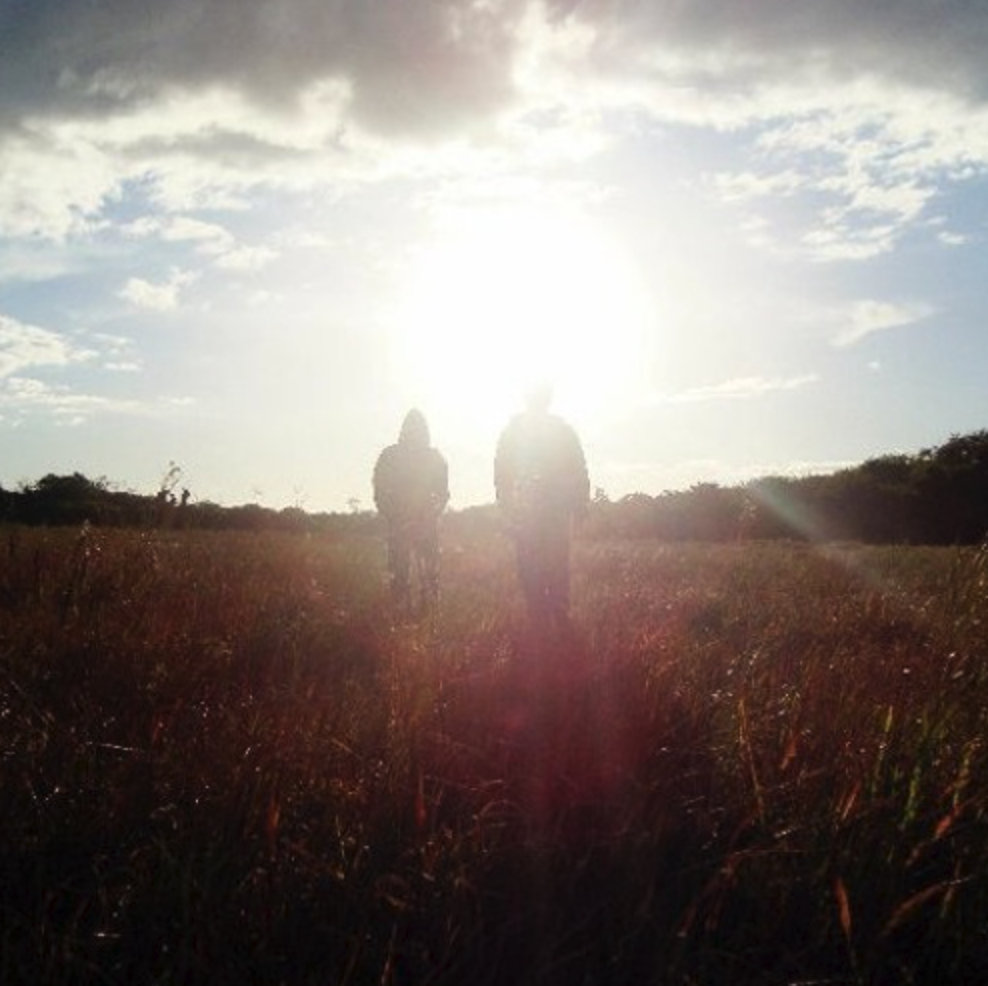 Apophenia | Beneath The Sun