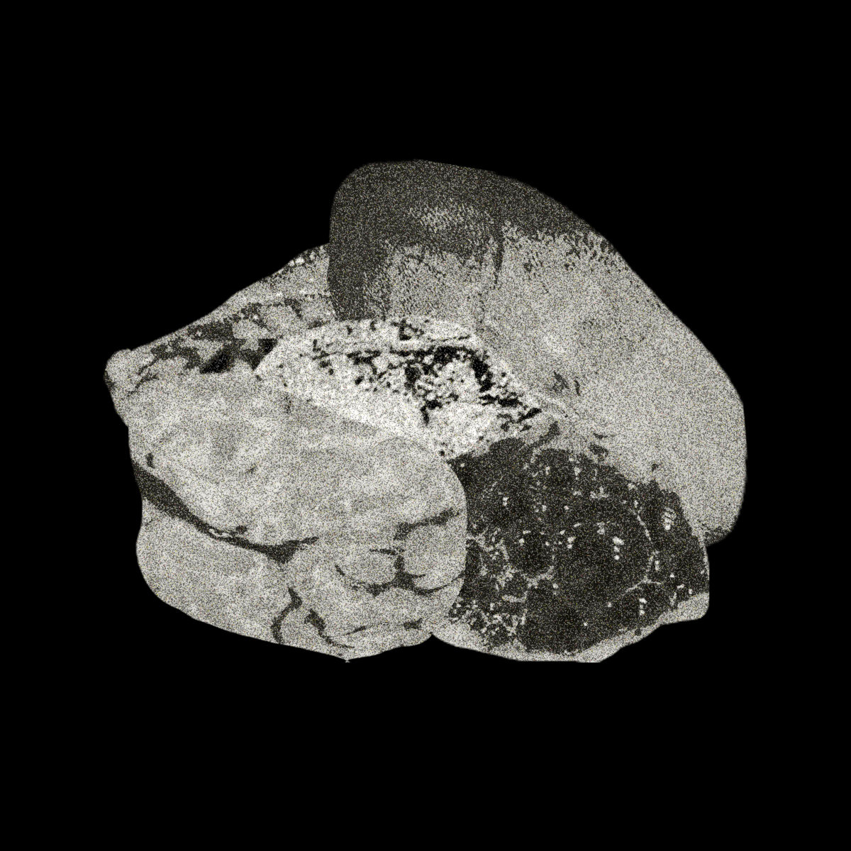 180 Seconds of Ear Exploding Vomits (AxBxP Side) | POST MORTEM ANIMAL ...