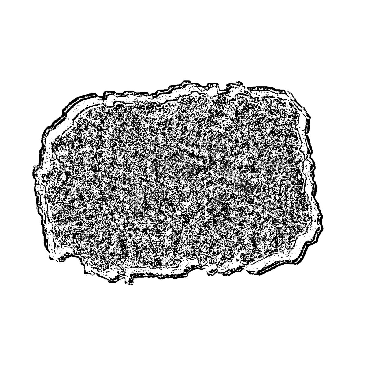 Orthopaedic Polytrauma | OxTxPxDxPxLxTxMx | Orthopaedic Polytrauma