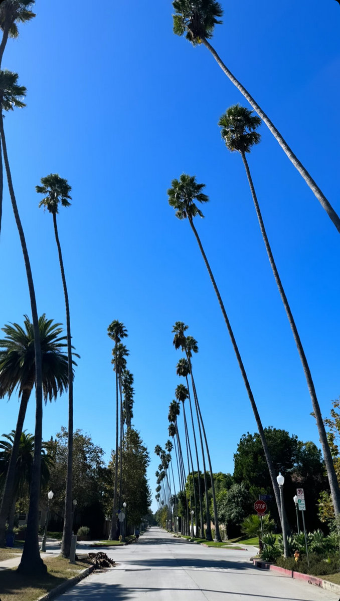 Bombshell Baby (Demo) | Sapphire Blonde