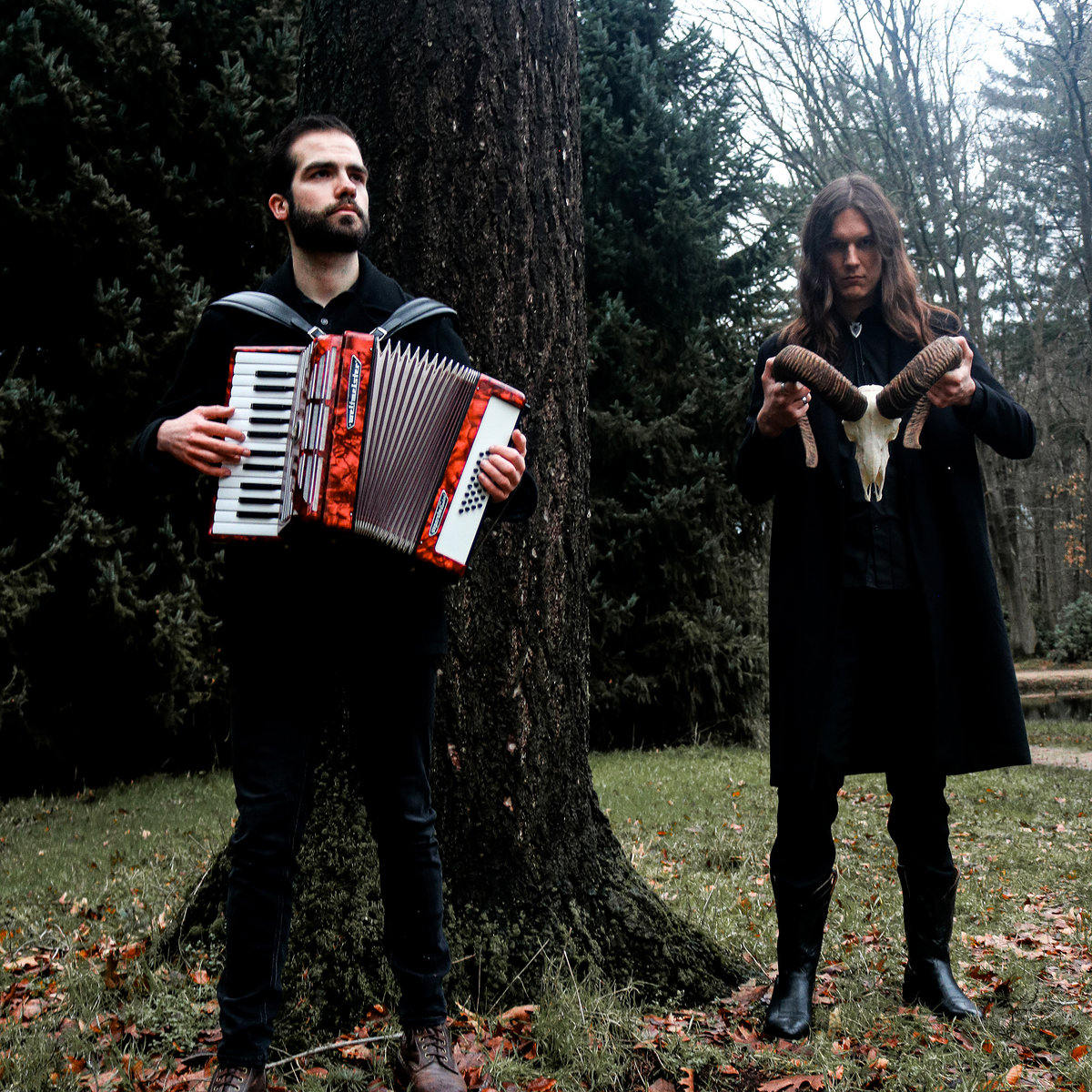 The Withered Roots of Reality | Alburnum