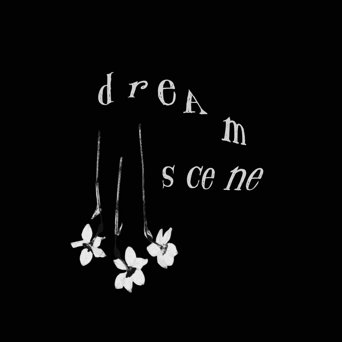 Dream Scene Dream Scene