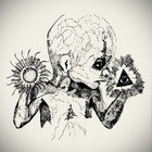 Bantha Rider | Bantha Rider