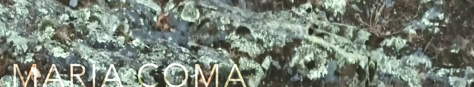 Music | Maria Coma