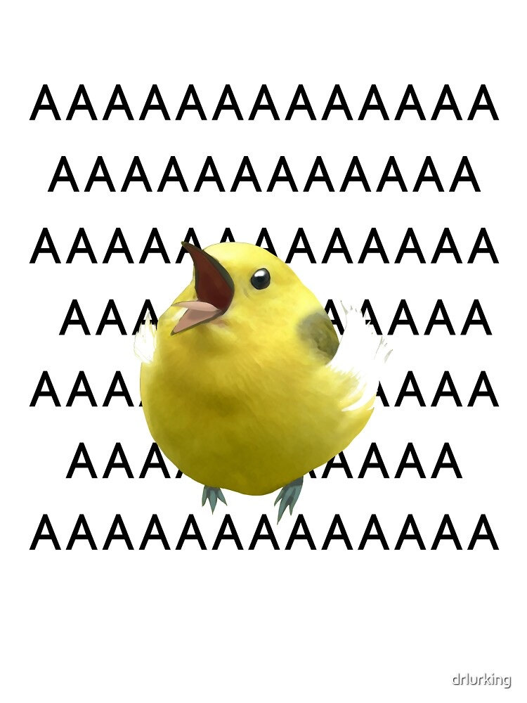 Nami | Screaming Canary