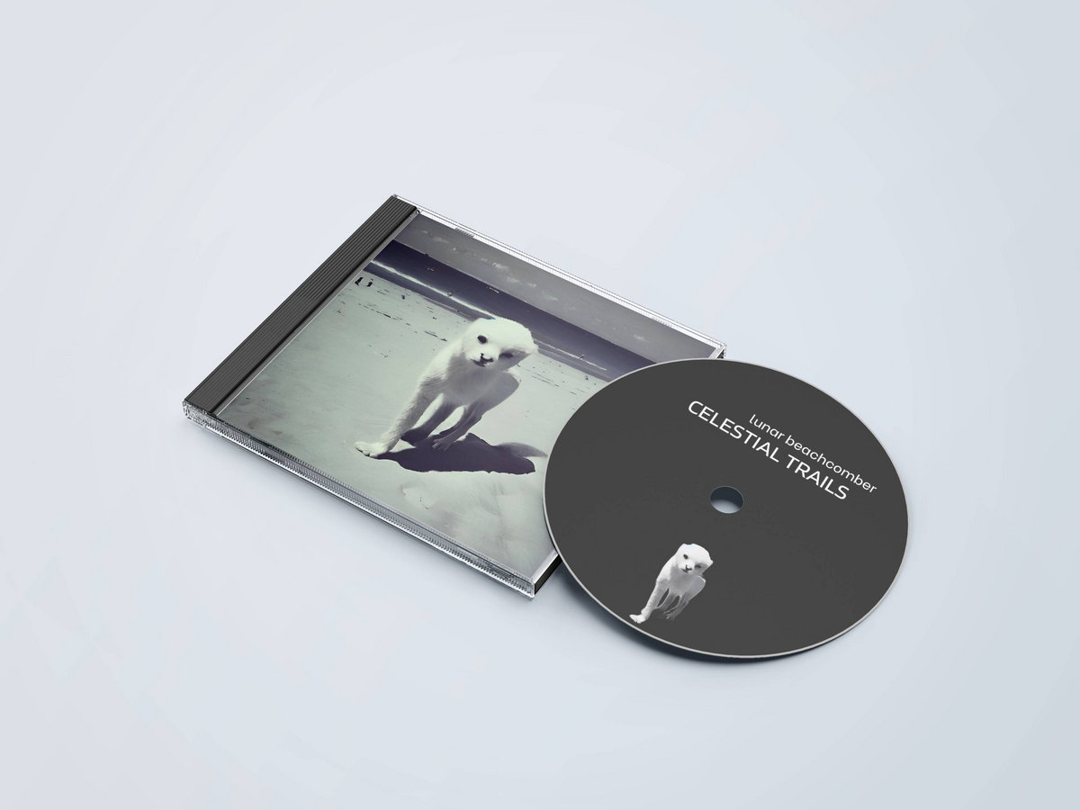 Lunar Beachcomber | Celestial Trails