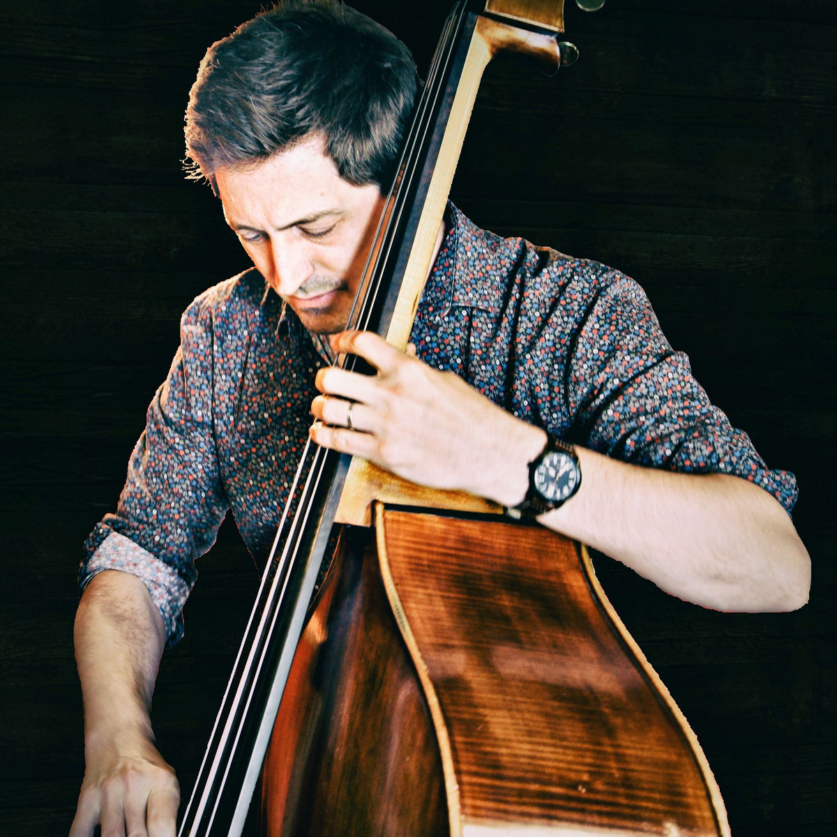 A Merry Dance | Mark Rose