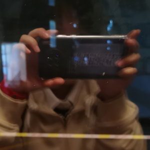 Music | Bionic Rhizome