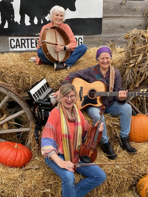 Into the Wood | Caleigh