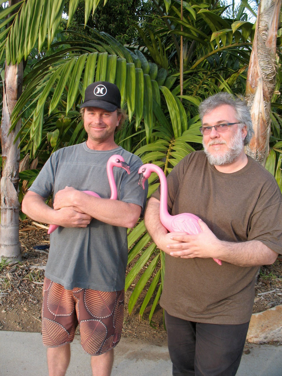 Robin Guthrie, Harold Budd - Another Flower | Darla Records