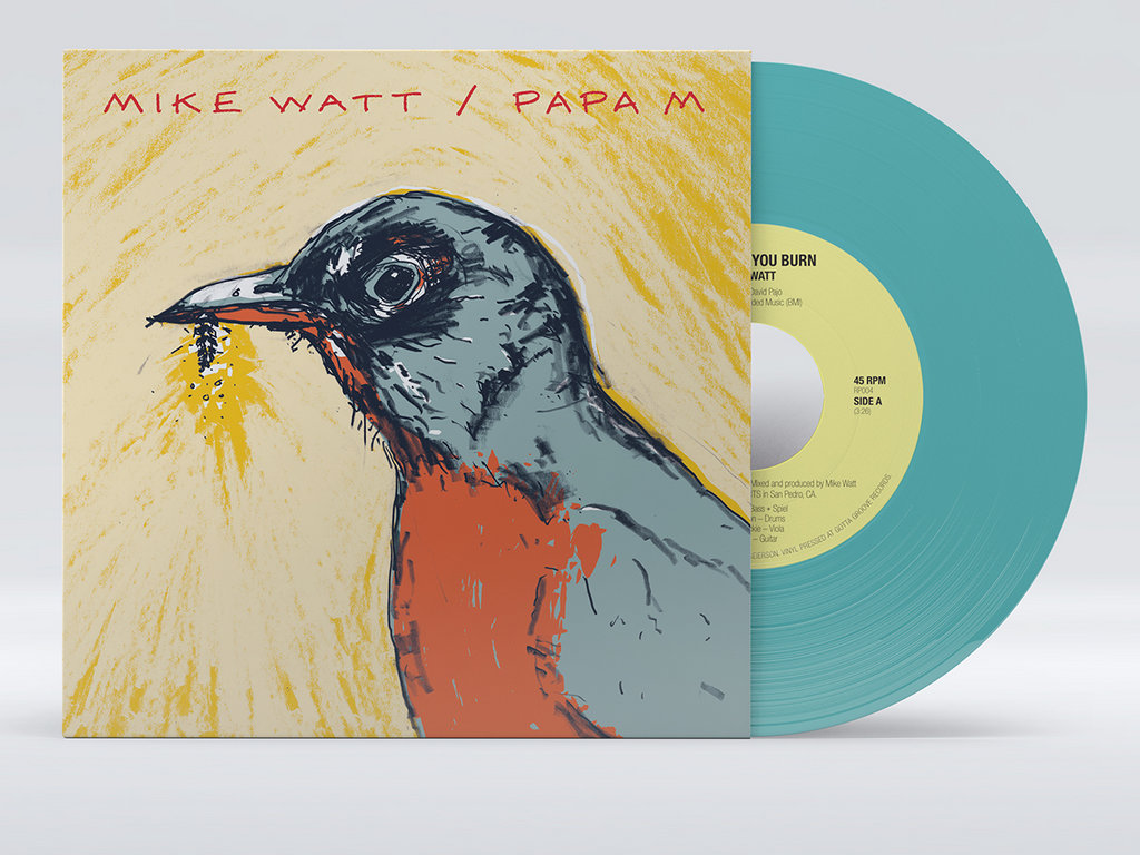 The Unstoppable Mike Watt | Bandcamp Daily
