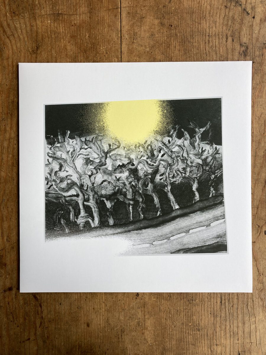 Dip Friso | Dip Friso | Real Landscape