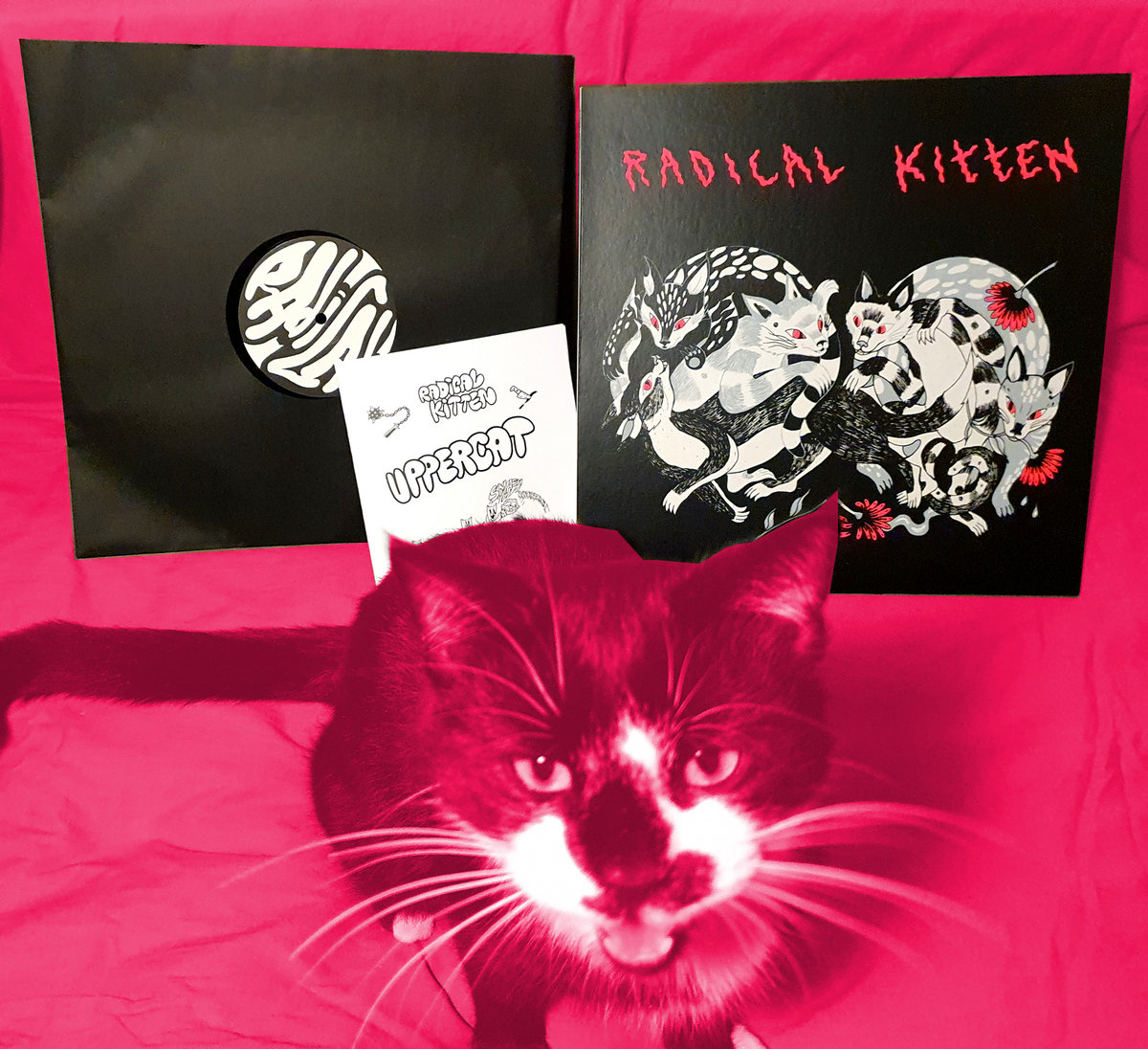 Uppercat | Radical Kitten | Dushtu Records