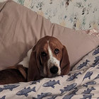 The Return Of Magik | Rwake