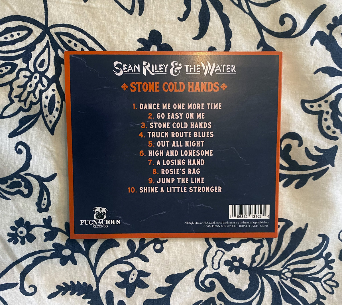 Stone Cold Hands | Sean Riley & The Water