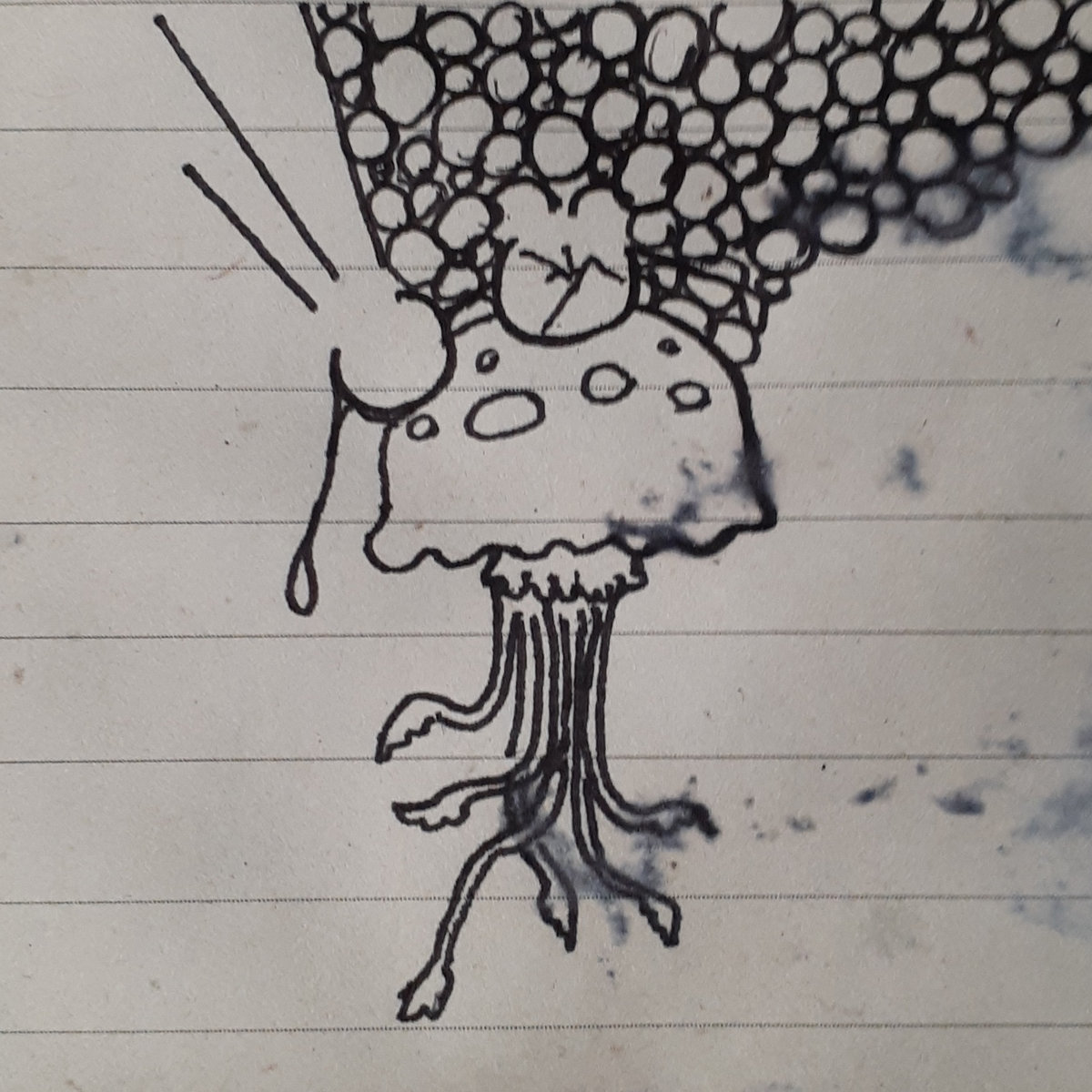 Four Legs, Standing Still | Four Legs, Standing Still