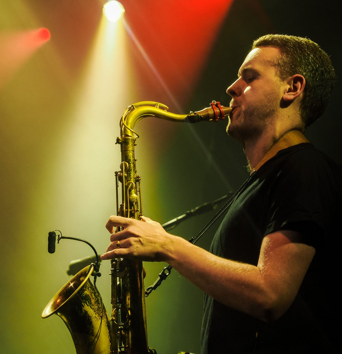 a dream of form | Scott Murphy