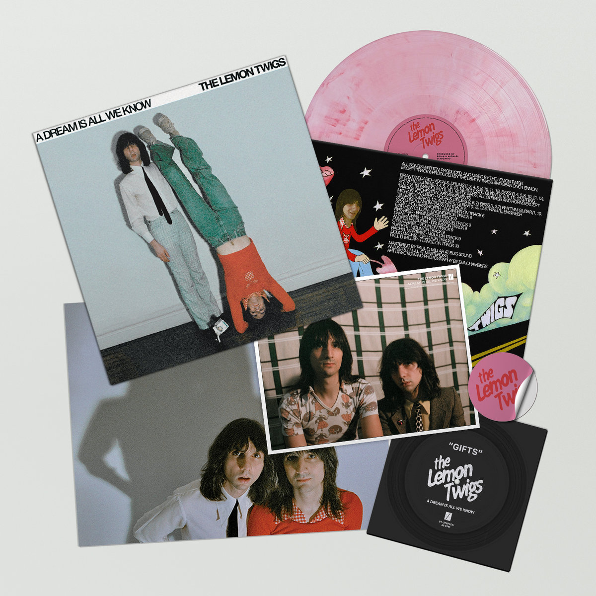 A Dream Is All We Know The Lemon Twigs