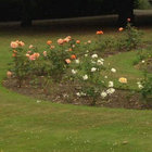 Iris Silver Mist | Jenny Hval