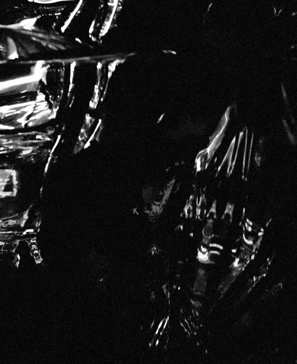 Sade (Feat. Bevy Maco) | Nohonestly