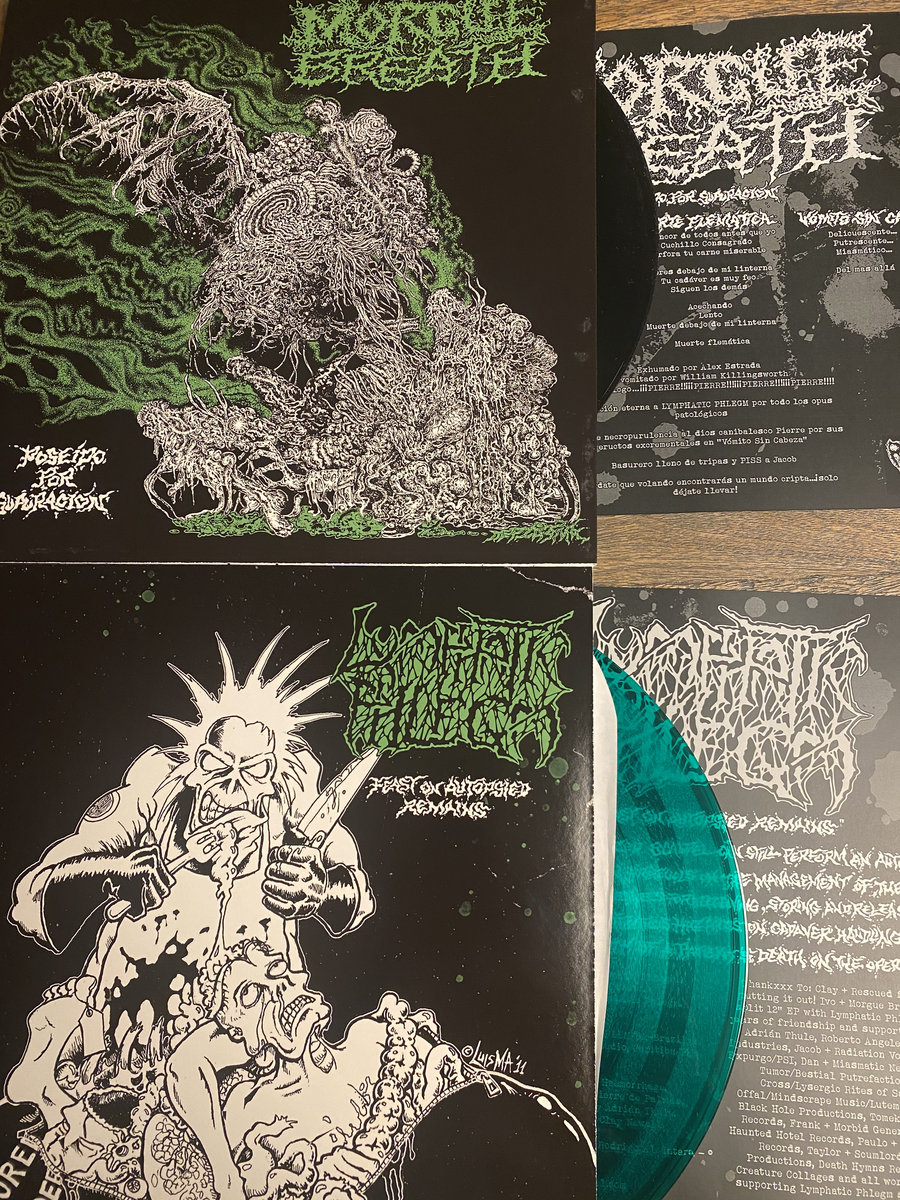 Morgue Operation Protocols on the Management of the Deceased ...