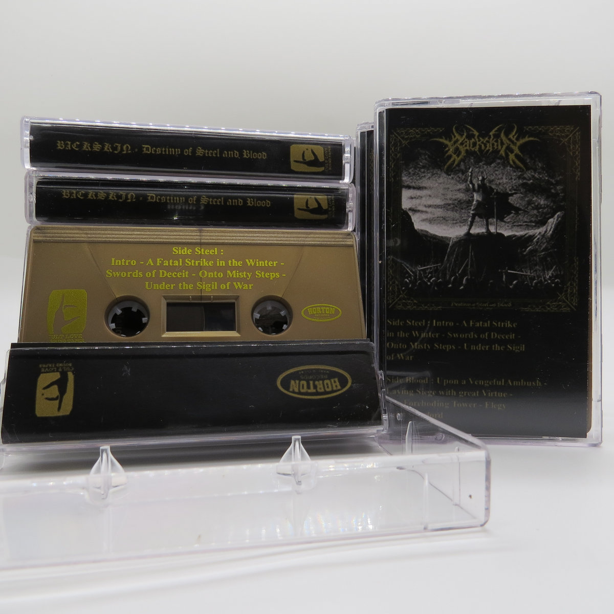Destiny of Steel and Blood | BACKSKIN | CULT LOVE SOUND TAPES