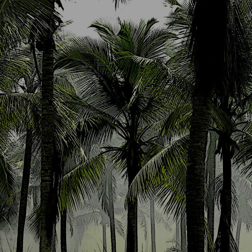 Dead Shores | Perubim