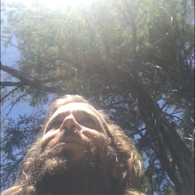 Myriads Teeming | Steven Morgan