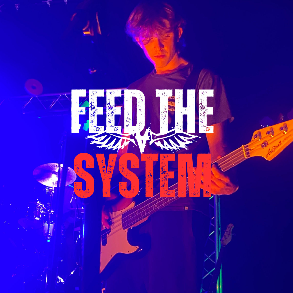 Hello + Goodbye EP | Feed the System