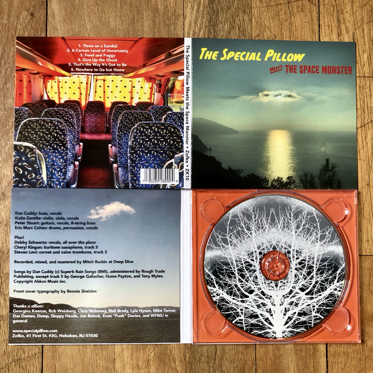 The Special Pillow Meets the Space Monster | The Special Pillow