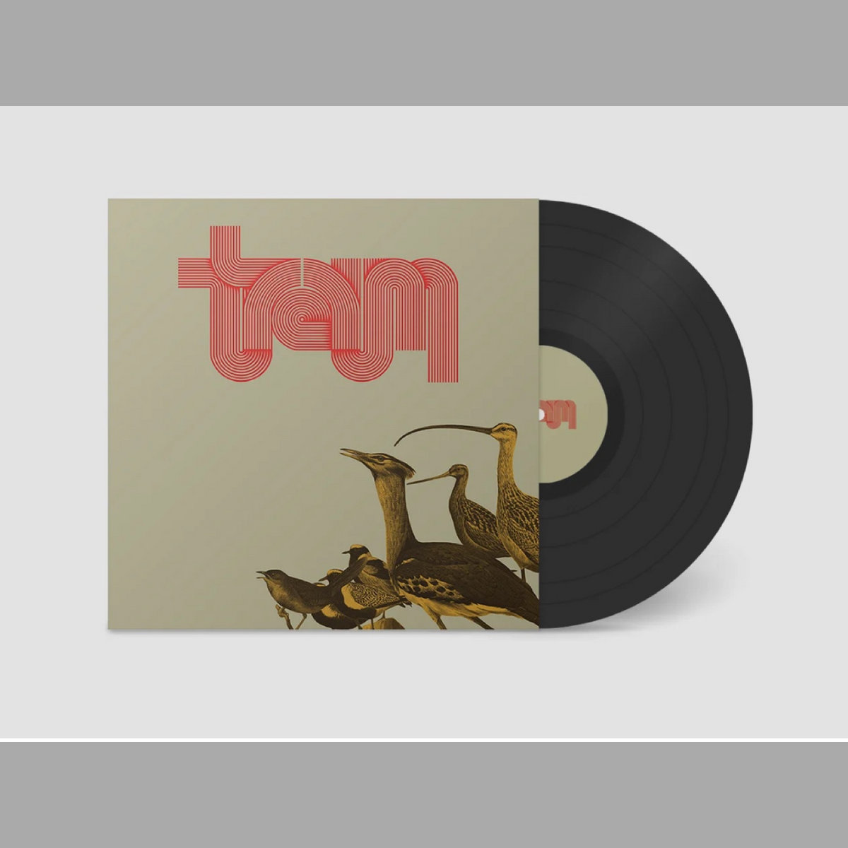 Traum | Traum | echodelickrecords
