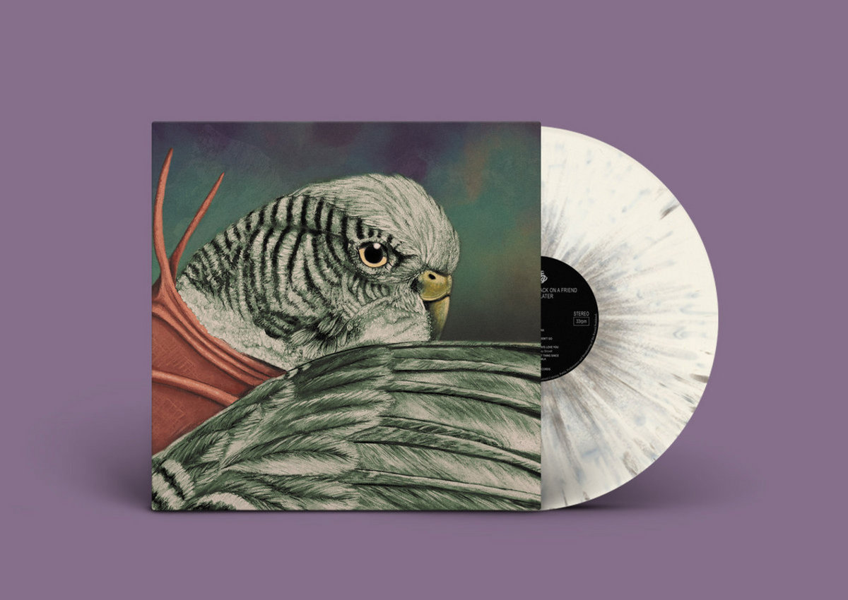 "Breadfan" By Alunah - "Budgie Never Turn Your Back on a Friend:50 ...