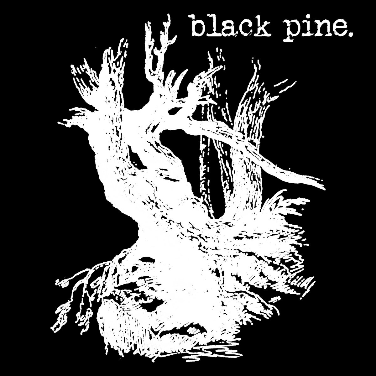 Black Pine | Black Pine